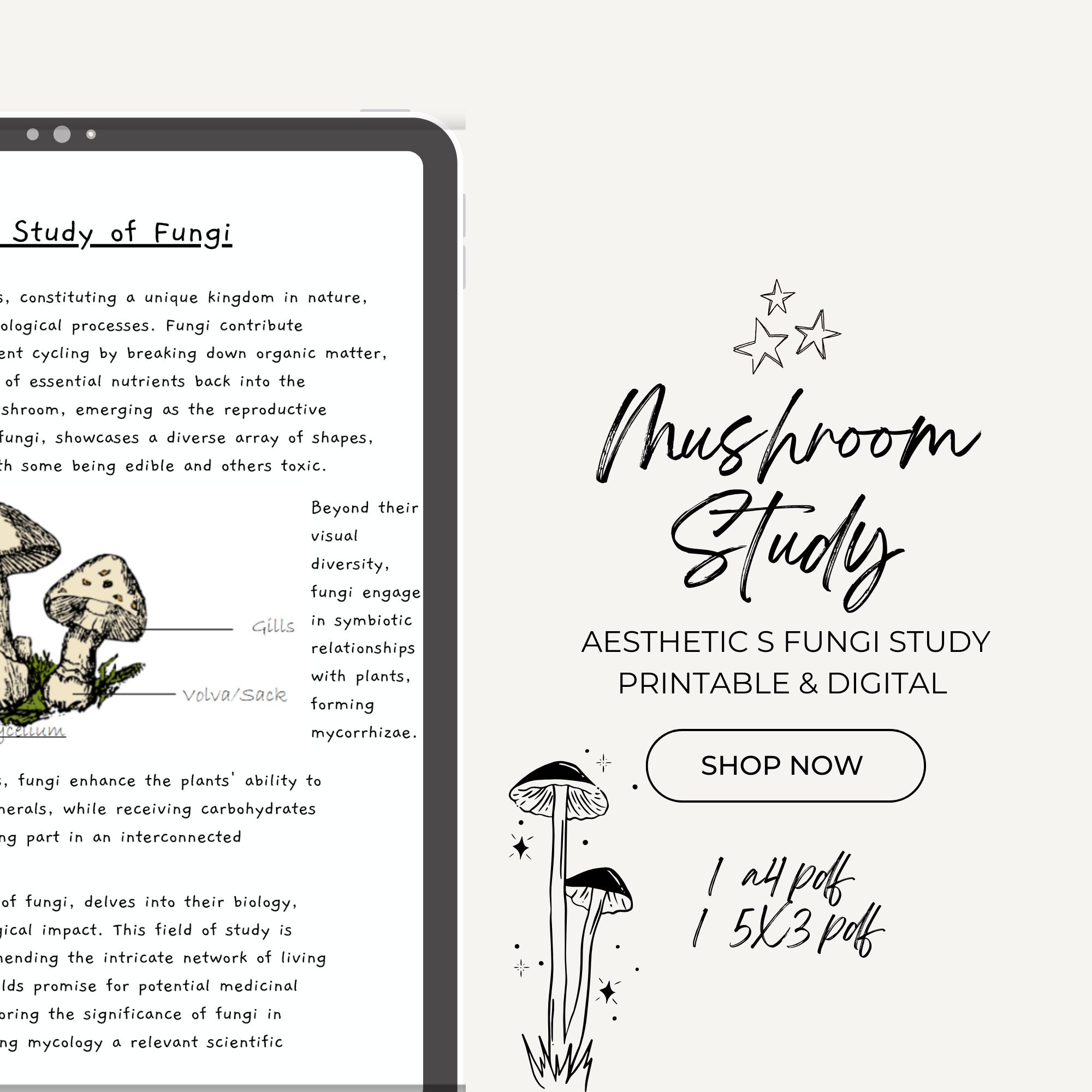 Fungi Study | Mushroom Anatomy Flashcard | Botany Study Guide | Plant ...