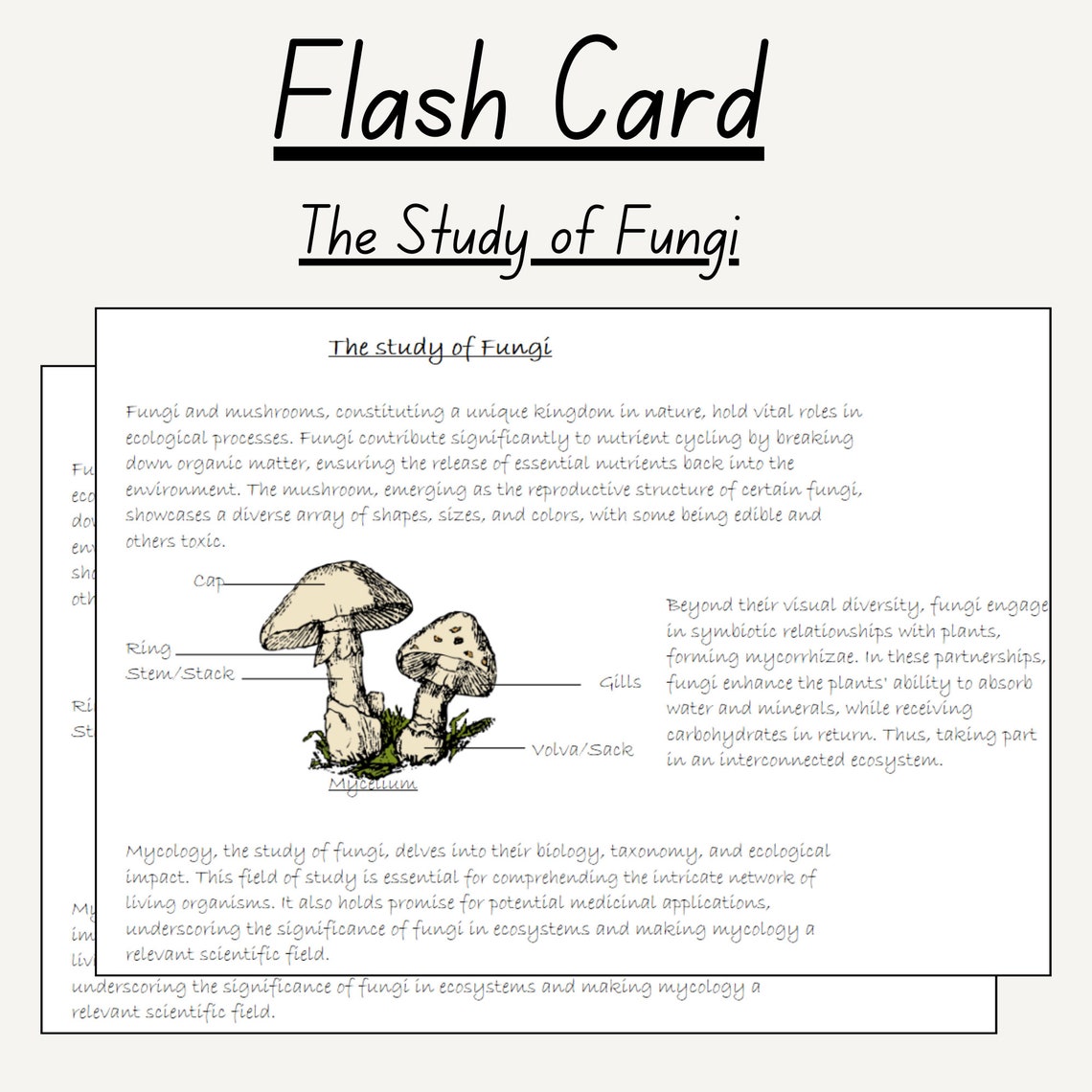 Fungi Study | Mushroom Anatomy Flashcard | Botany Study Guide | Plant ...