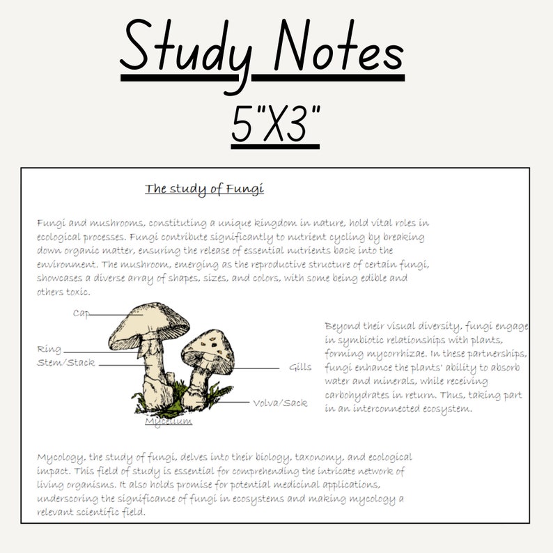 Fungi Study | Mushroom Anatomy Flashcard | Botany Study Guide | Plant ...