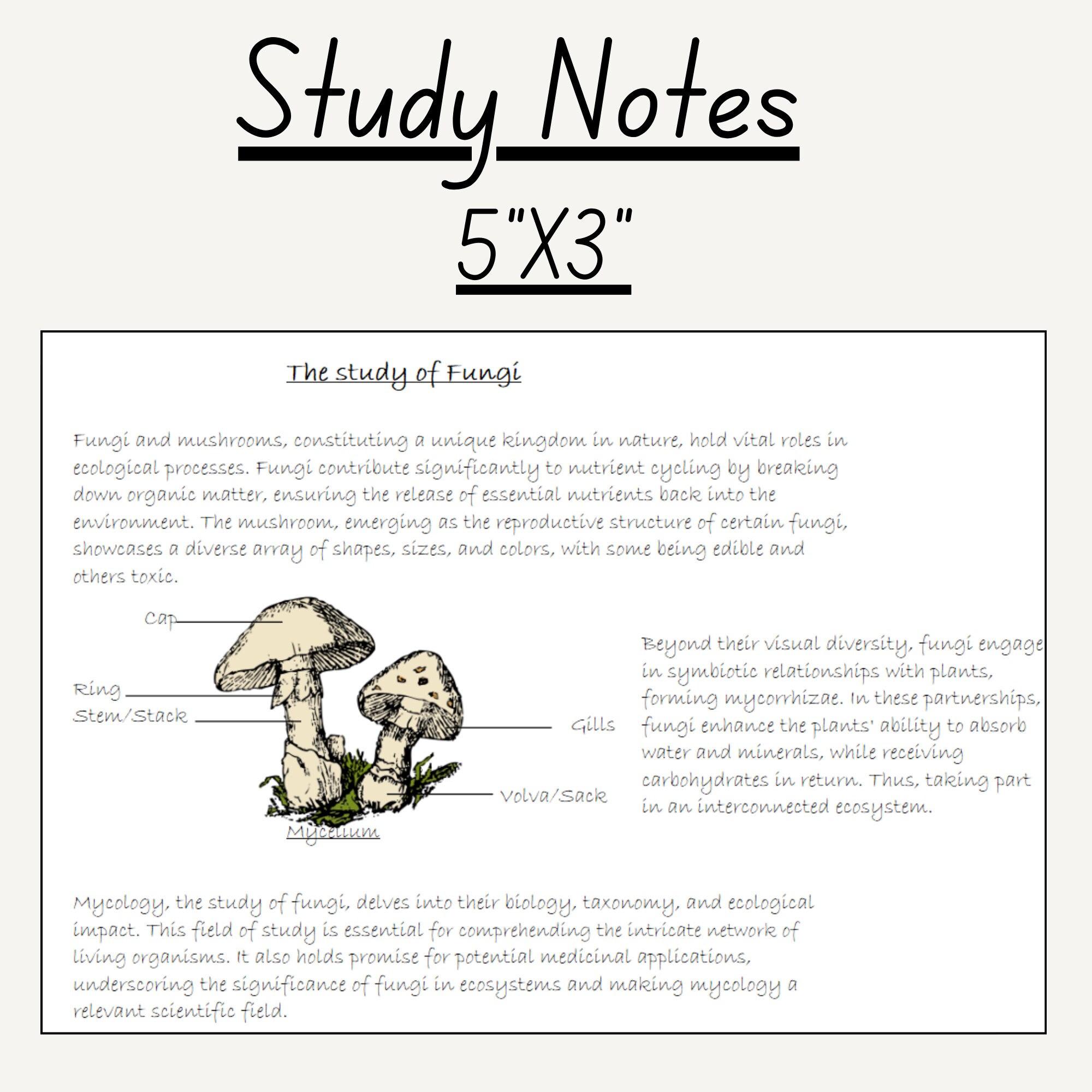 Fungi Study | Mushroom Anatomy Flashcard | Botany Study Guide | Plant ...