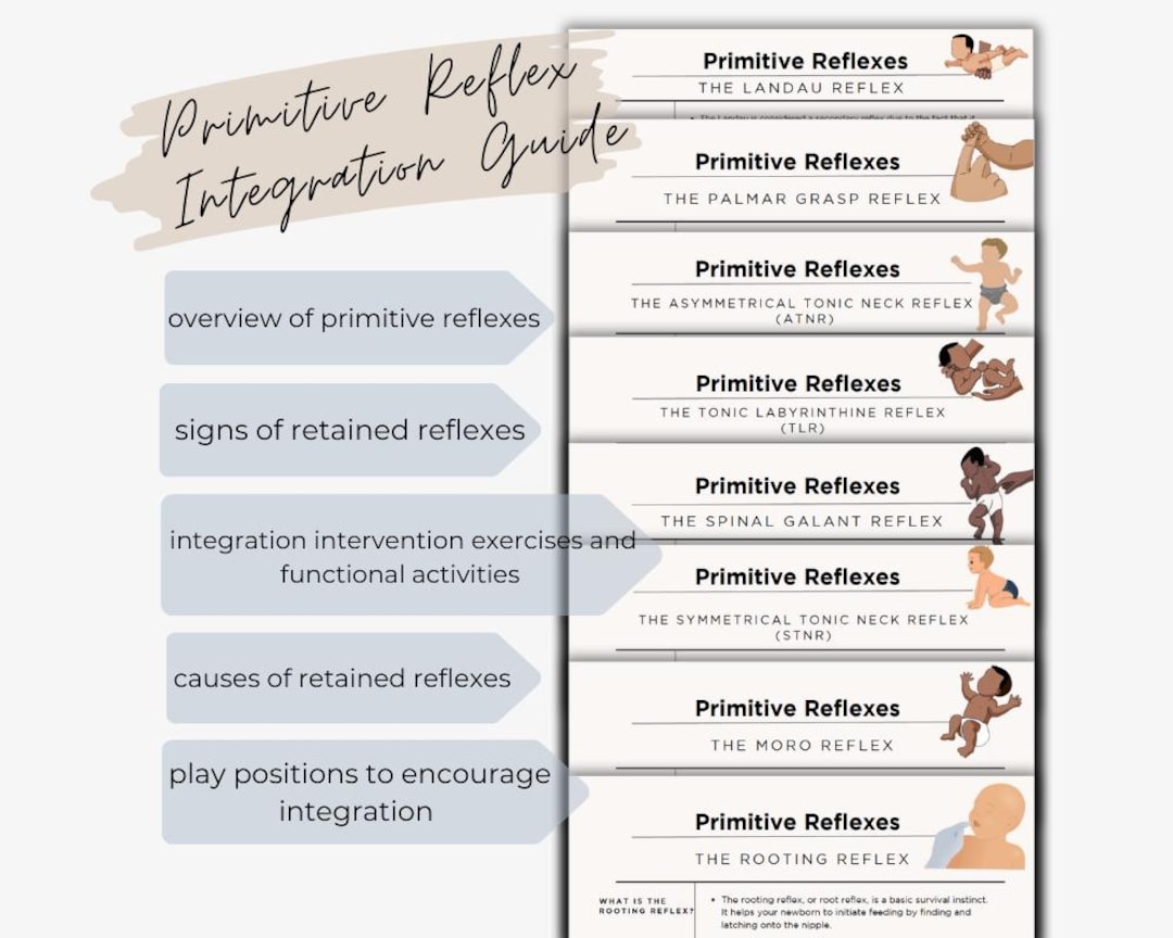 Primitive Reflex Integration Guide: Exercises for Pediatric Occupational Therapy (digital ...