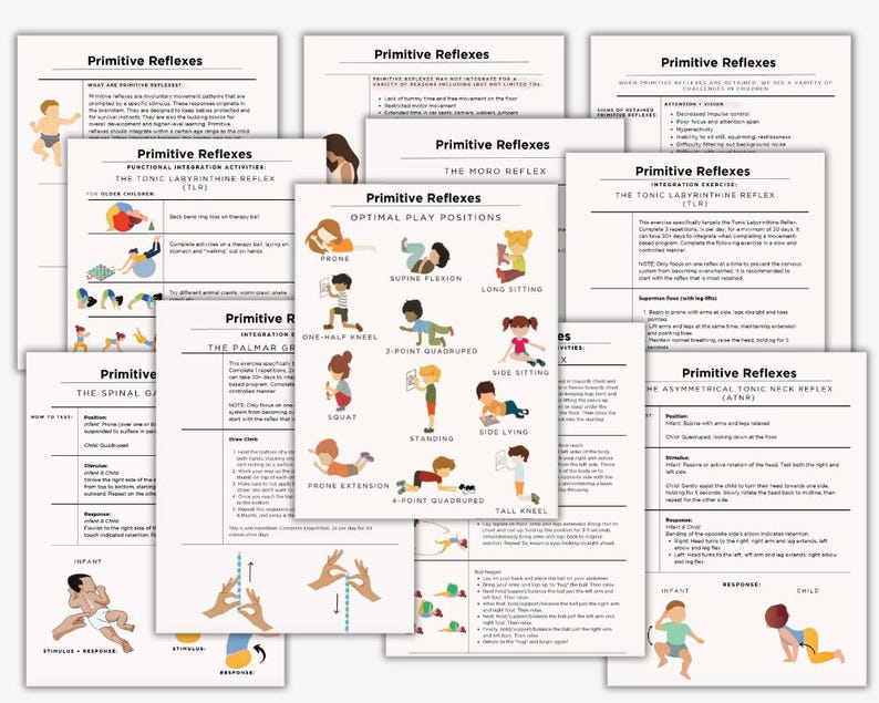 Primitive Reflex Integration Guide: Exercises for Pediatric Occupational Therapy (digital ...