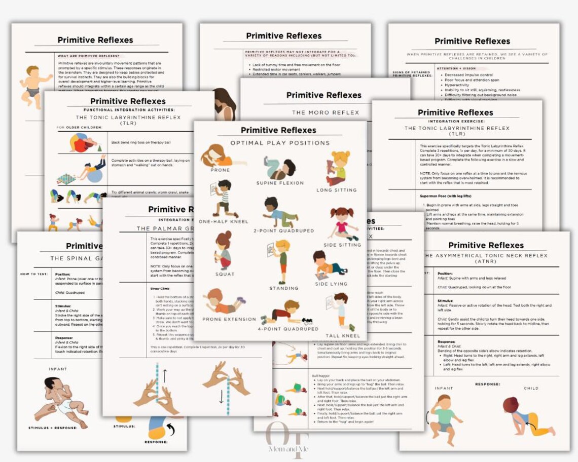 Primitive Reflex Integration Guide, Pediatric Occupational Therapy - Etsy