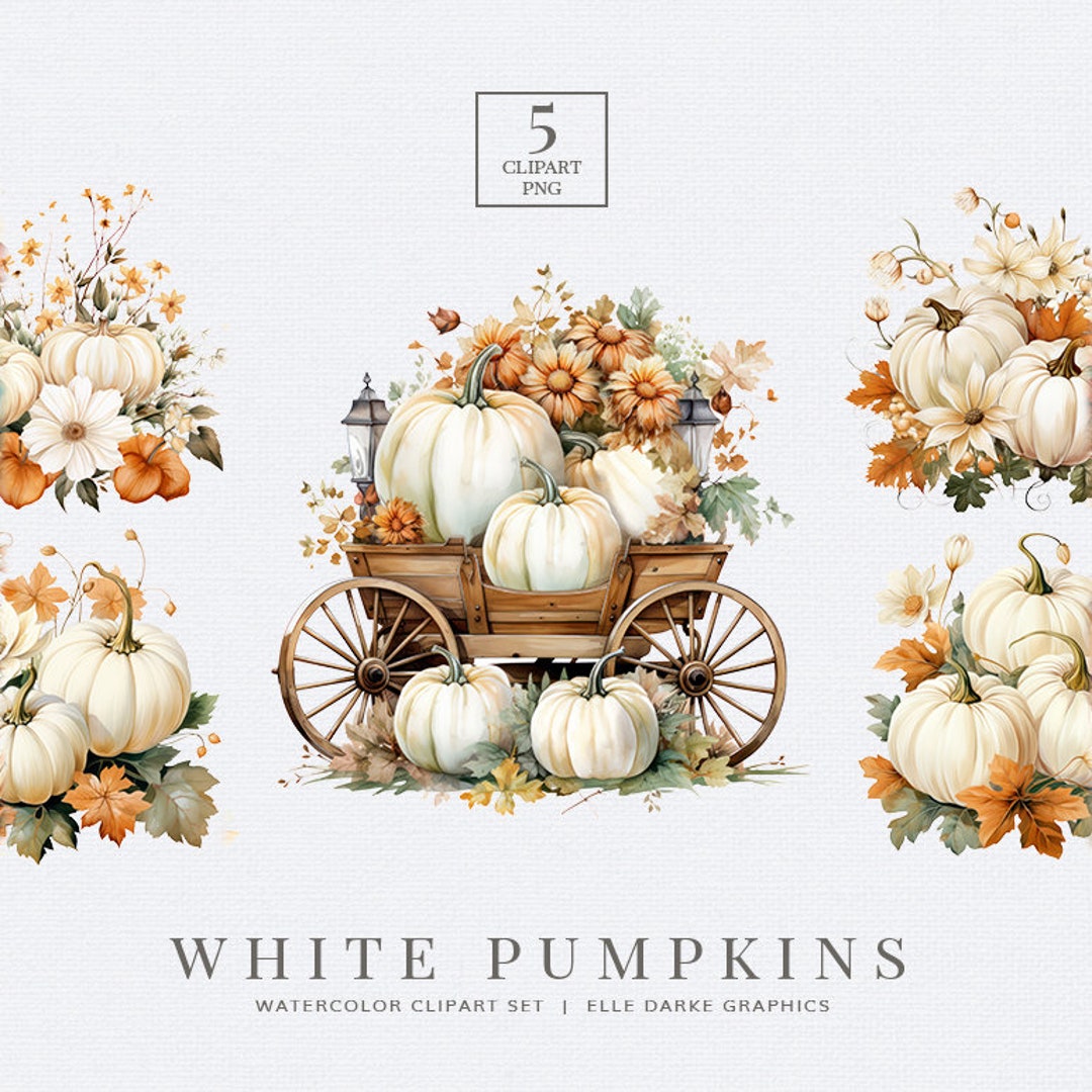 White Fall Pumpkin Clipart Autumn Clip Art Watercolor - Etsy