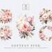 Watercolor Floral Clipart, Pink and White Flowers Clipart, Pastel Pink ...