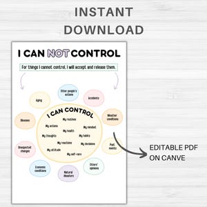 Things I Can Control Poster Editable Mental Health Poster What I Can ...