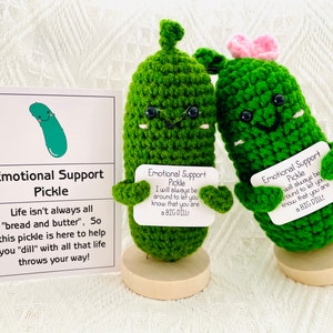 Emotional Support Pickle, Crochet Pickle Ornament With Positive Quote ...