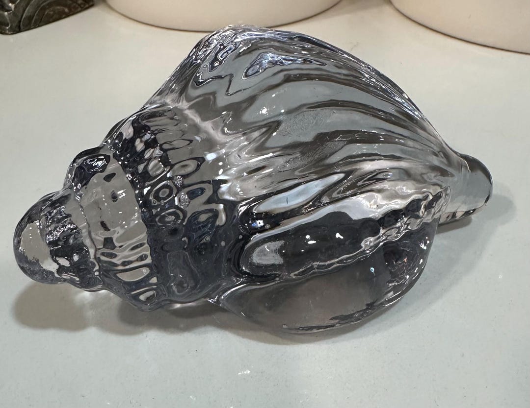 Vintage Conch Sea Shell/hermit Crab Clear Glass Art Paperweight - Etsy