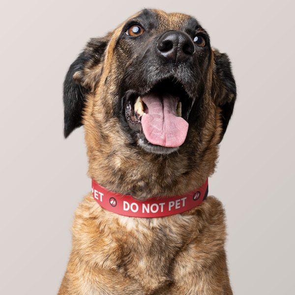 Do Not Pet - Etsy