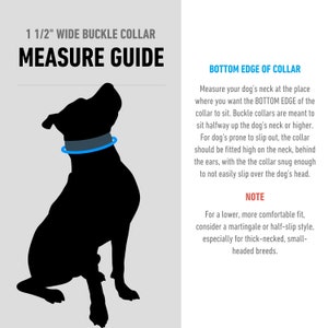 Wide Dalmatian Print Collar, Custom Waterproof Biothane - Etsy