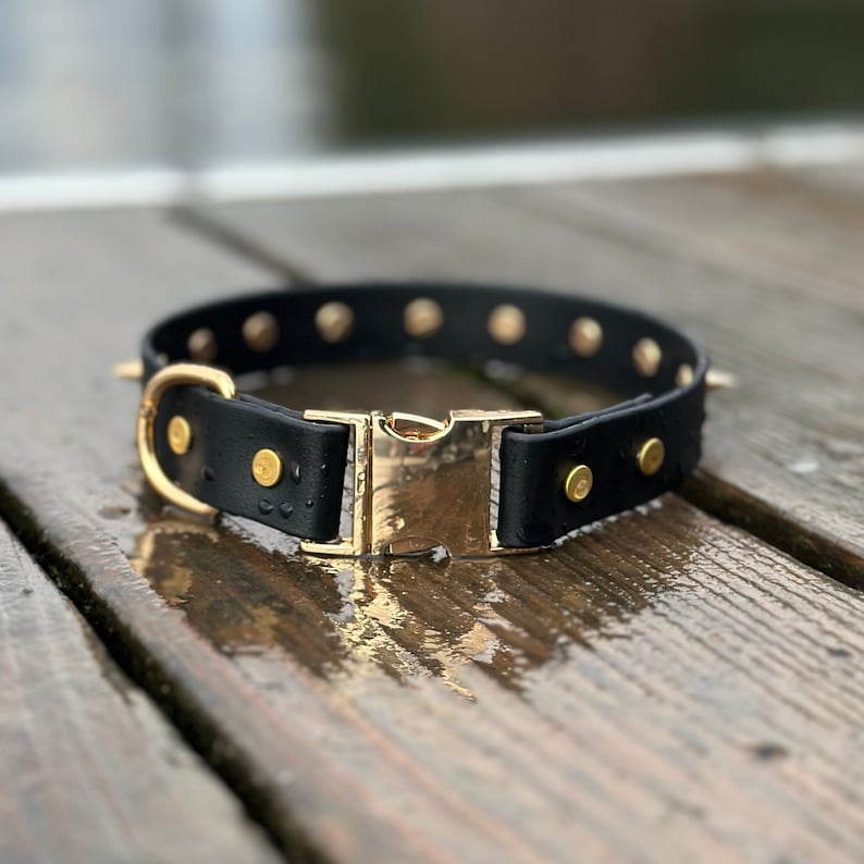 Spiked Collar, Waterproof Biothane - Etsy