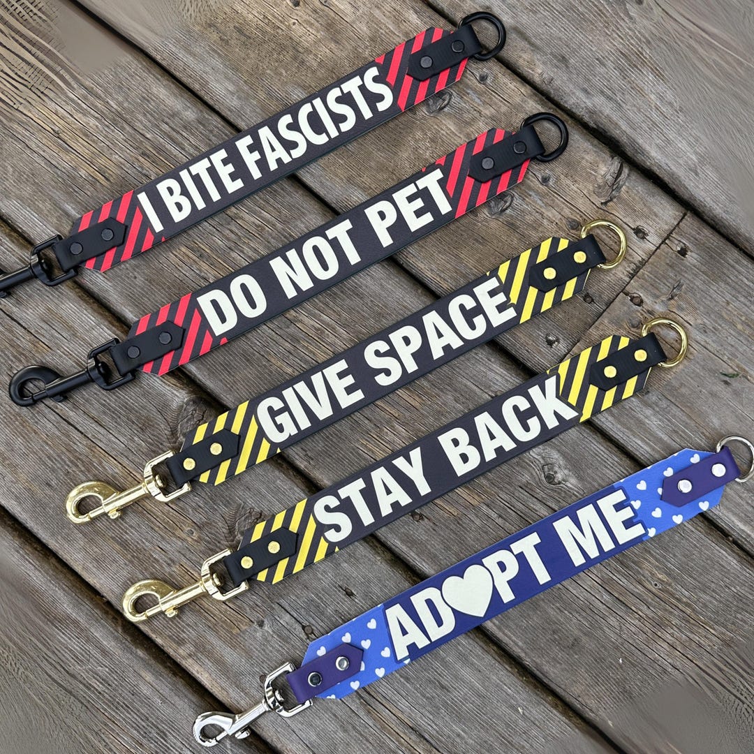 Waterproof Leash Label, Double-sided, Warning, Nervous, Do Not Pet ...