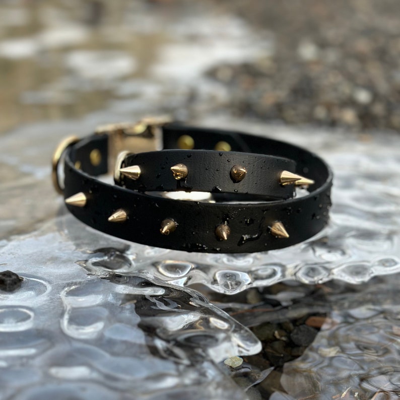 Spiked Collar, Waterproof Biothane - Etsy