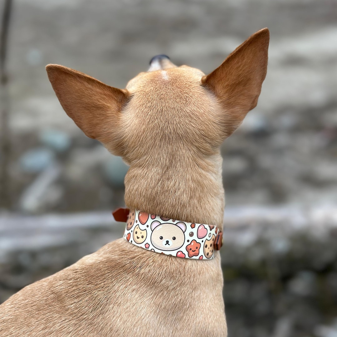 Small Kawaii Teddy Bear Bell Collar, Custom Waterproof Biothane - Etsy