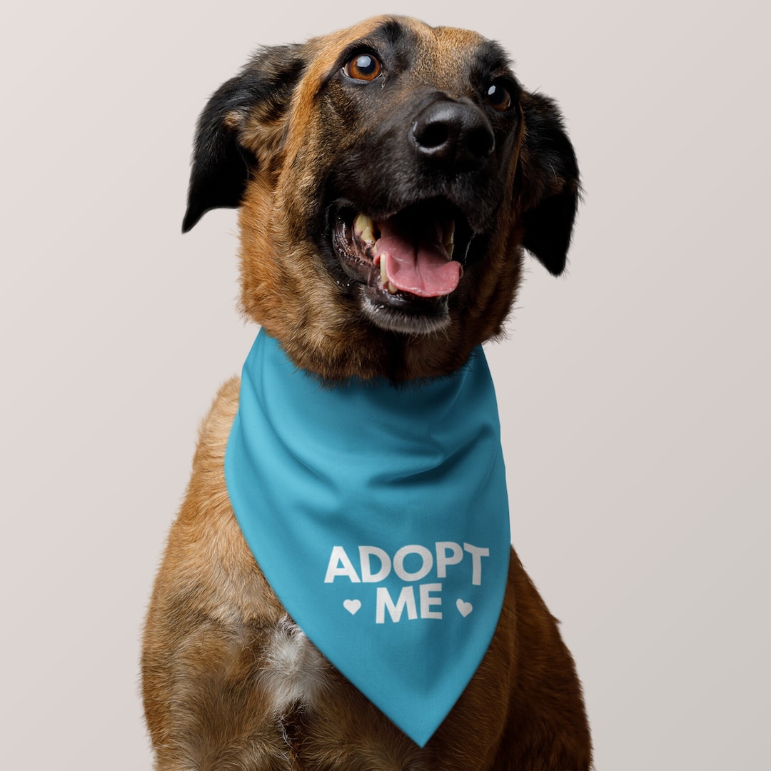 Adopt Me Dog Bandana Bandana for Dogs Adoptable Rescue - Etsy