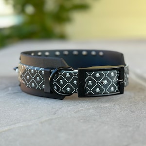Wide Spiked Skull Collar, Custom Waterproof Biothane, Gothic Crossbones ...