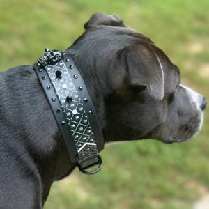Wide Spiked Skull Collar, Custom Waterproof Biothane, Gothic Crossbones ...