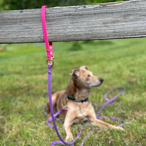 30' Waterproof Long Line, Custom Length Biothane Drag Leash - Etsy