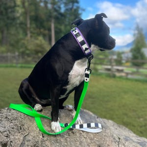 Wide Spiked Sandworm Dog Collar, Custom Waterproof Biothane, Black and ...