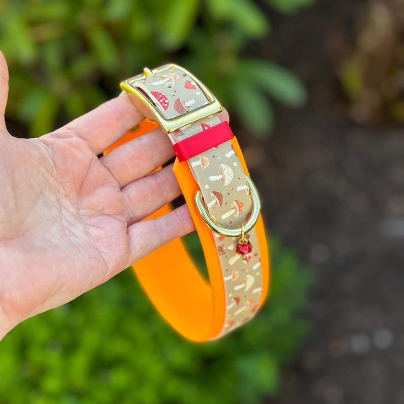 Earthy Mushroom Dog Collar, Custom Waterproof Biothane - Etsy