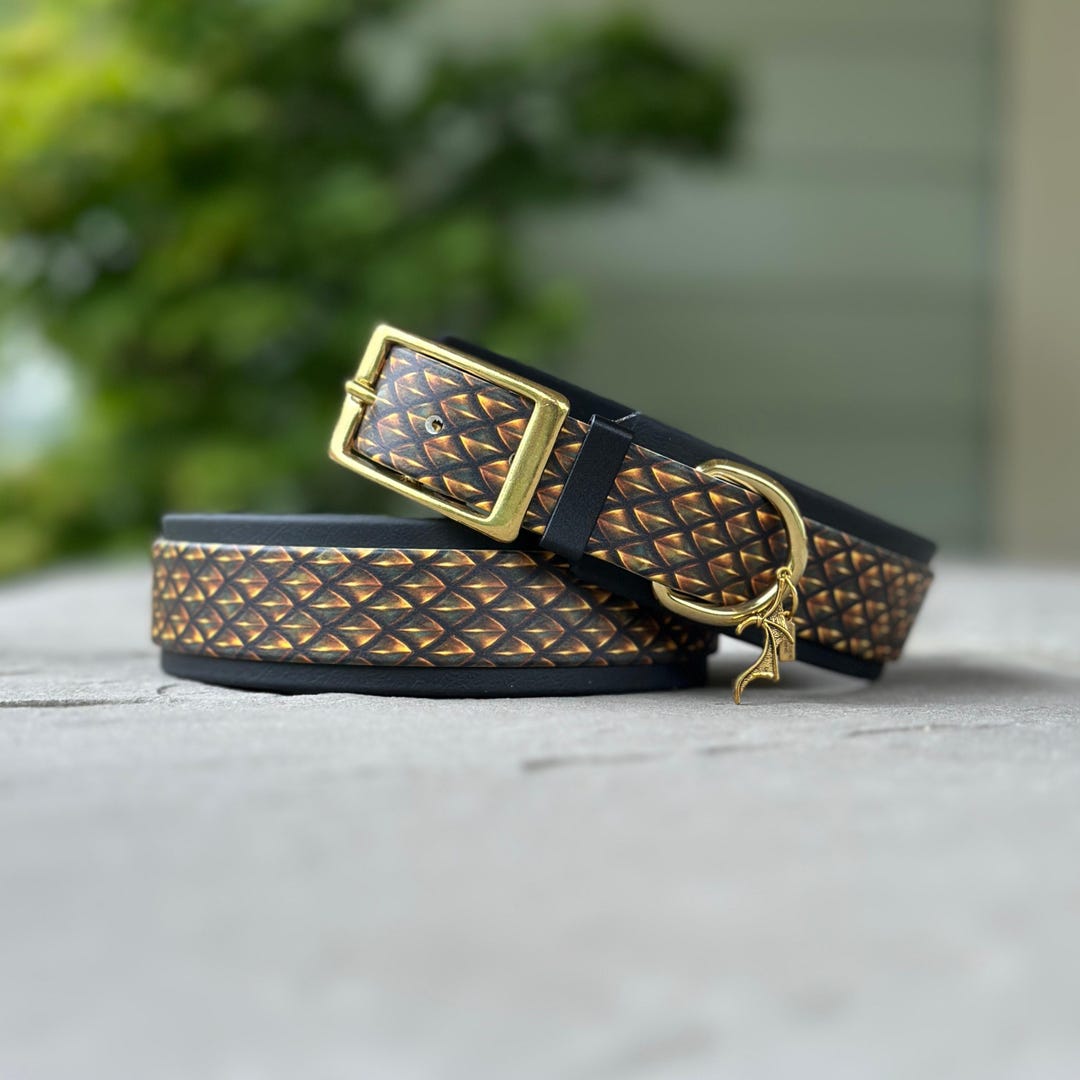 Golden Dragon Scales - Biothane Dog Collar - Etsy