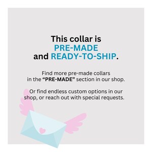 PRE-MADE Biothane Handle Collars, Ready to Ship - Etsy