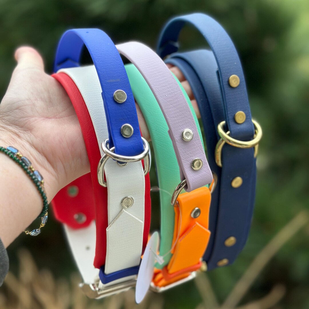 PRE-MADE Biothane Handle Collars, Ready to Ship - Etsy