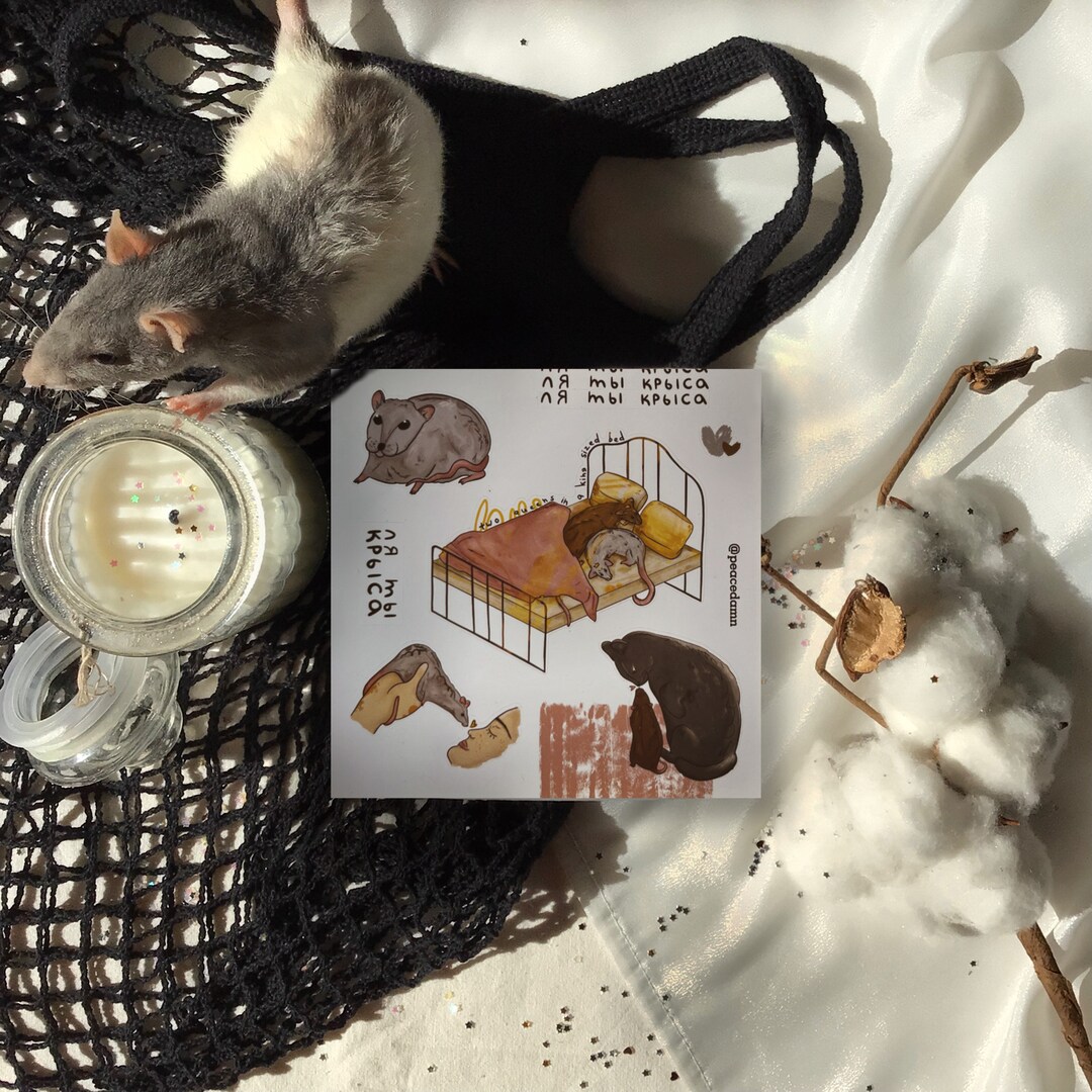 Stickerpack ‘rats’ - Etsy