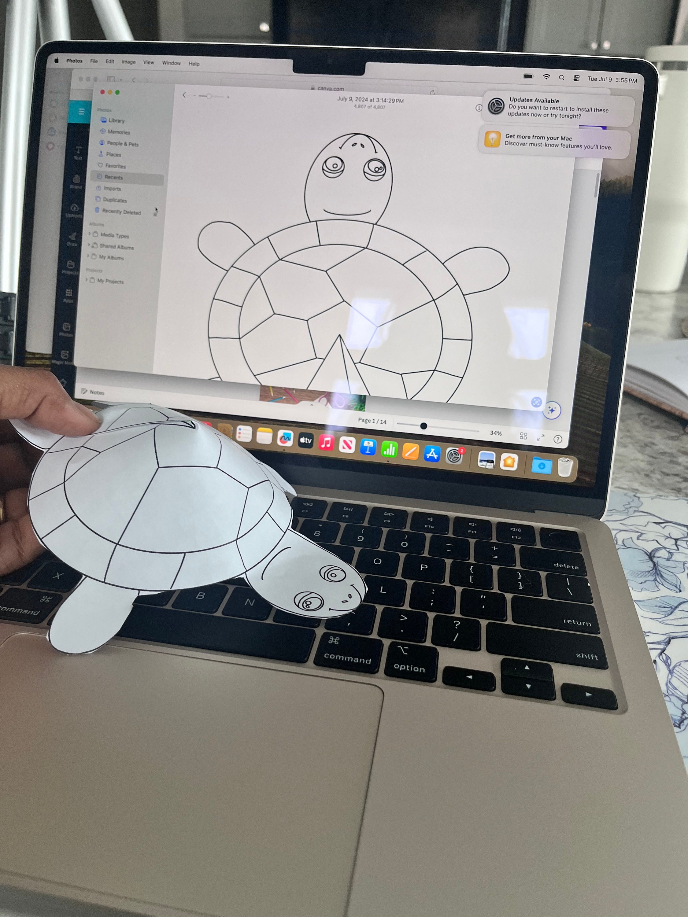 3D Turtle Paper Toy: Printable Activity for Kids (digital Download) - Etsy