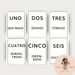 African American Toddler Flash Cards | Toddler and Kids Learning ...