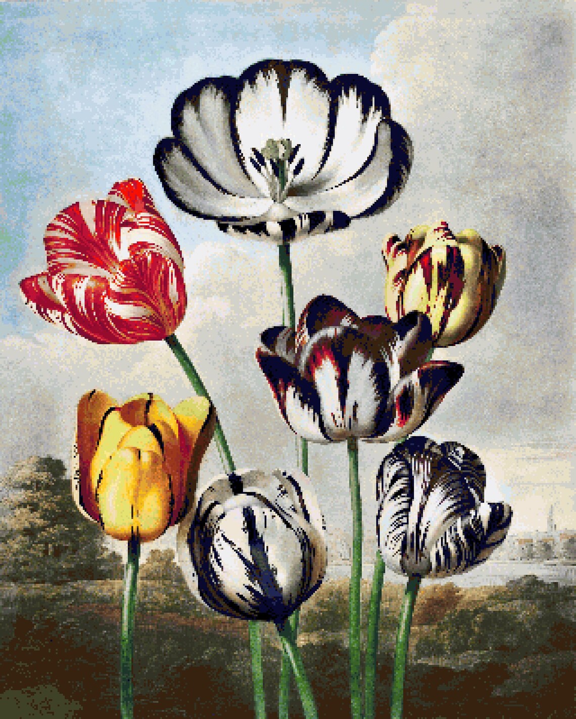 Tulip Full Coverage Cross Stitch Pattern, Instant Download PDF, 16 ...