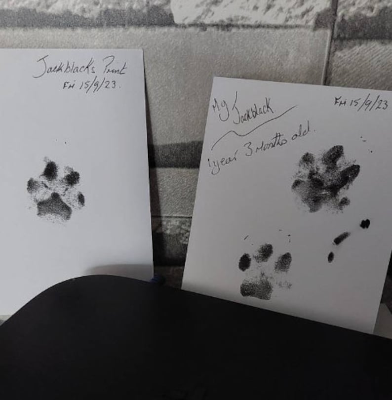 Footprints, Handprints, Pet Prints Touchless Ink Pad - Etsy
