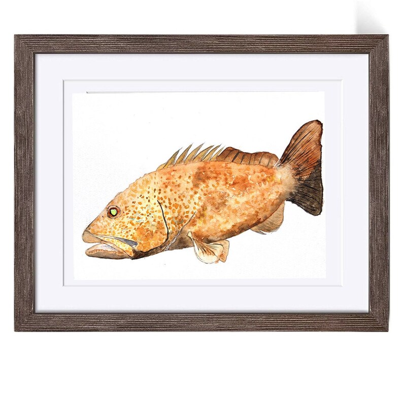 Original Watercolor Grouper Painting - Etsy
