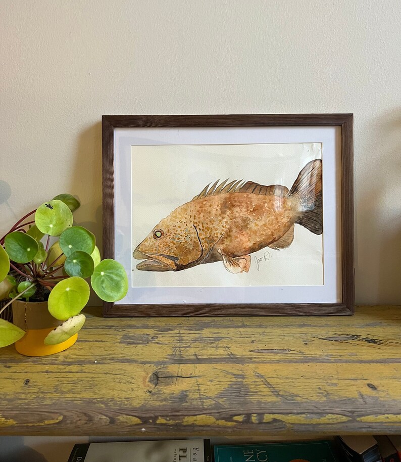 Original Watercolor Grouper Painting - Etsy