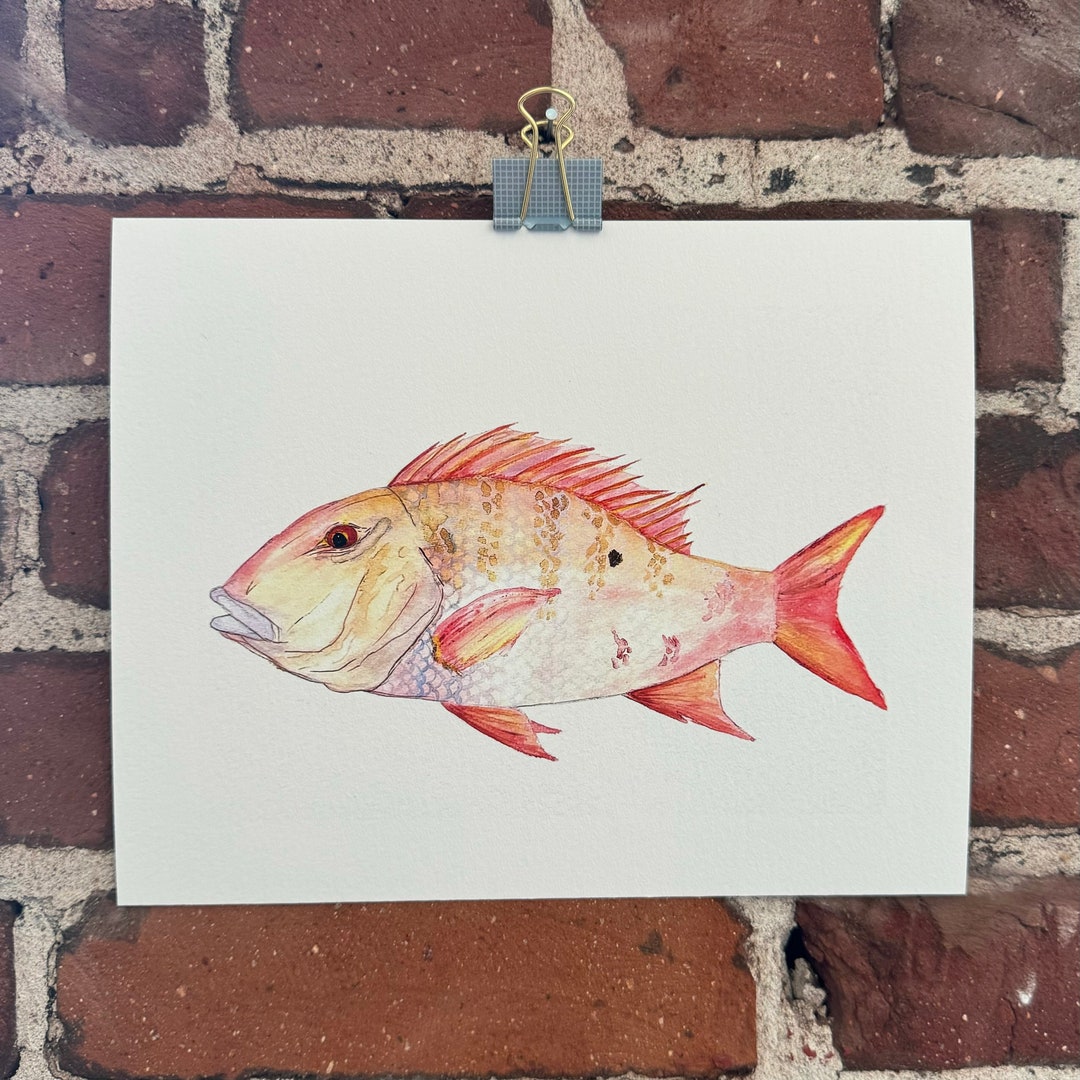 Snapper Giclée Print in Color - Etsy