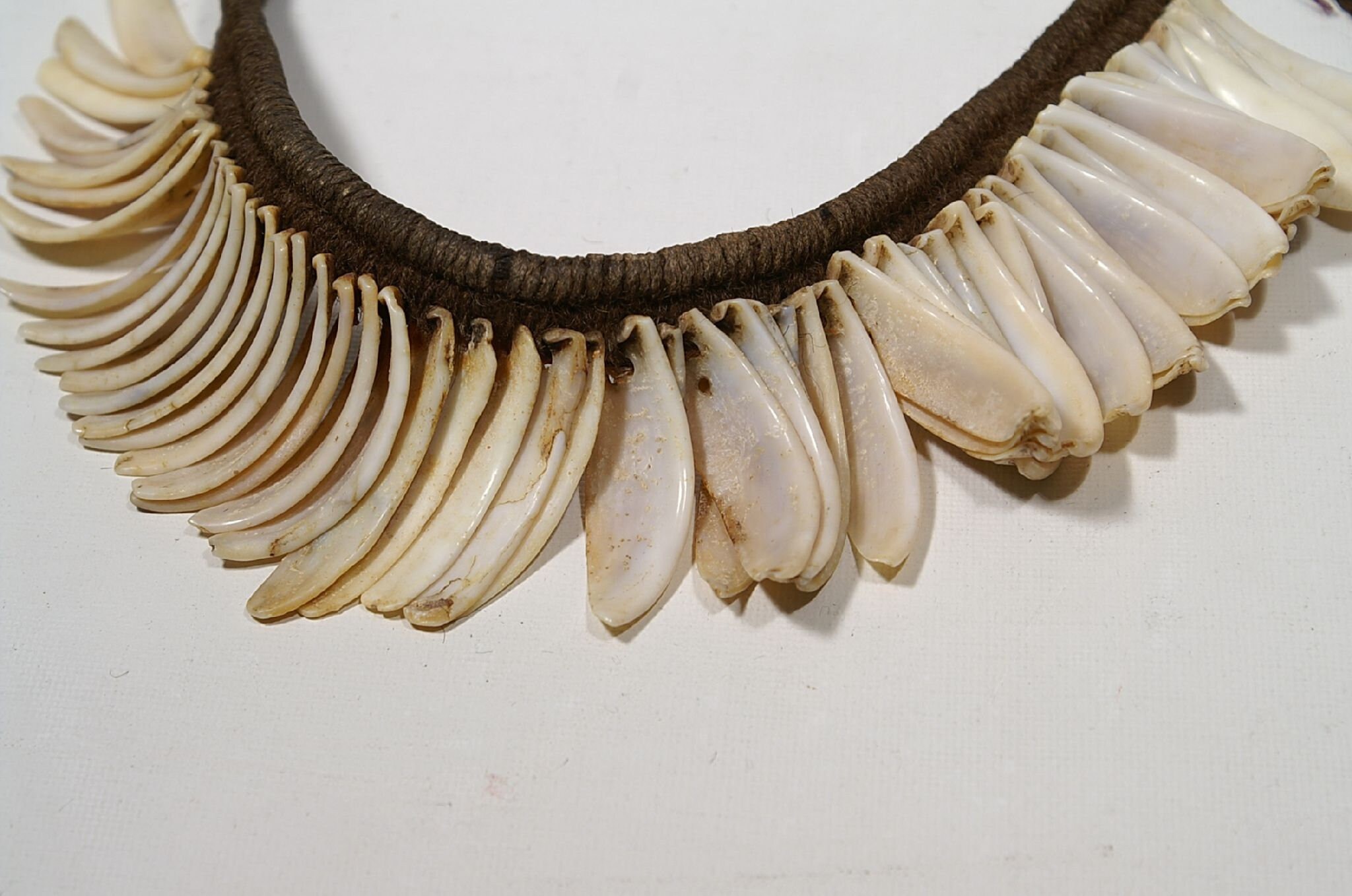 Ancient Nazca Shell Necklace on Original Alpaca Wool Cord - Etsy