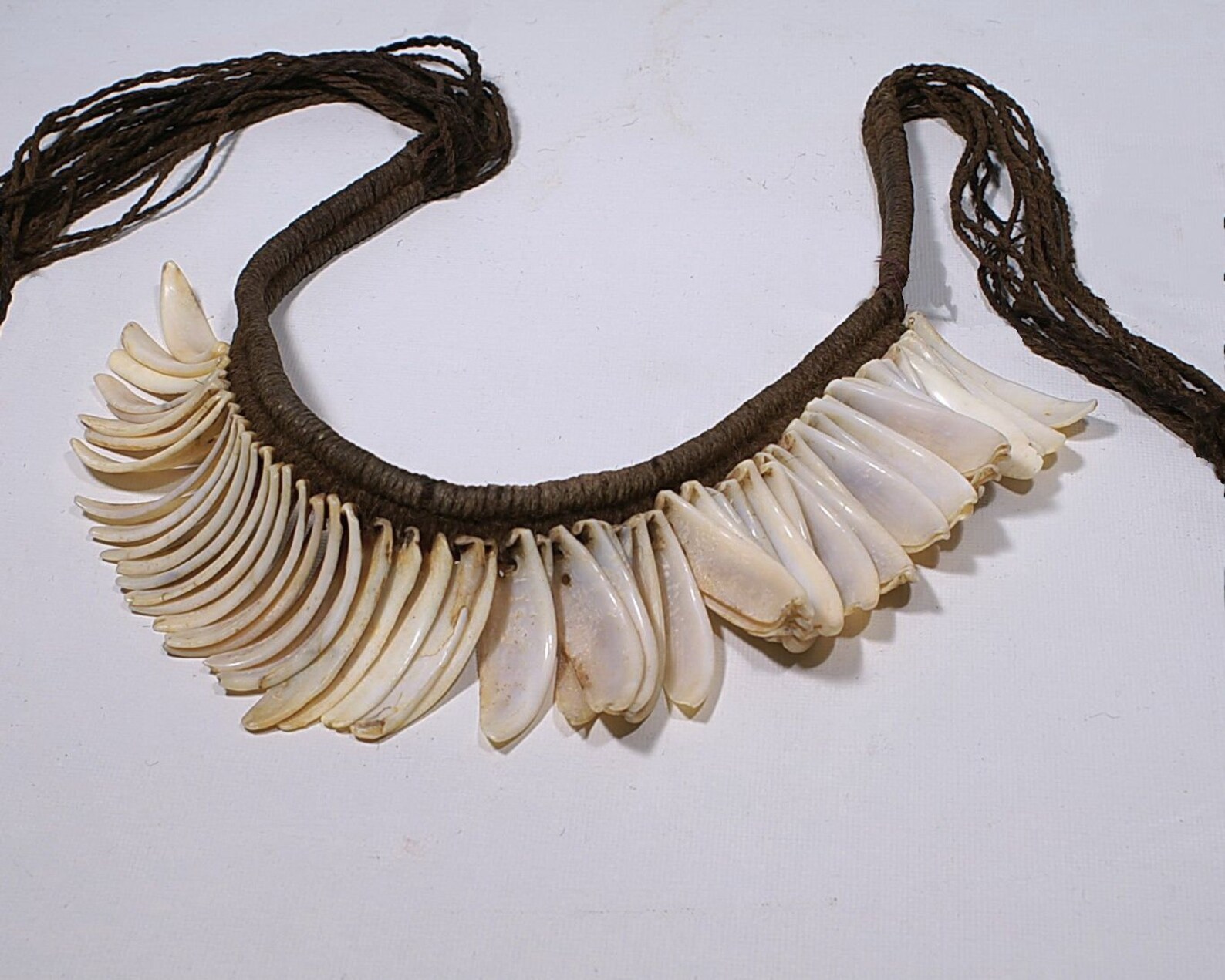 Ancient Nazca Shell Necklace on Original Alpaca Wool Cord - Etsy