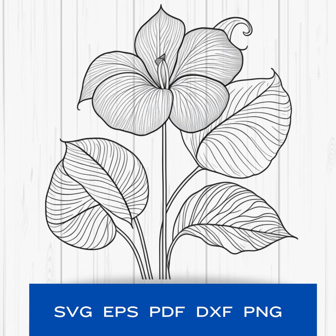 Anthurium SVG Digital Download - Etsy