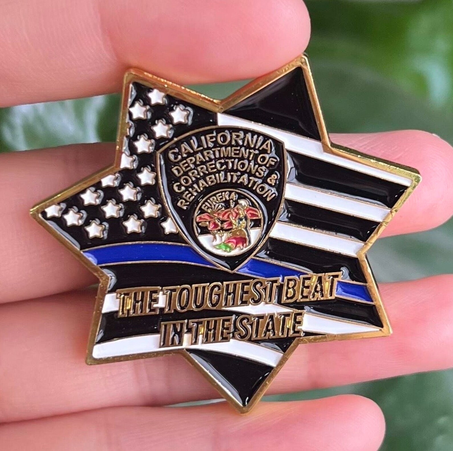 California Department of Corrections & Rehabilitation Challenge Coin - Etsy