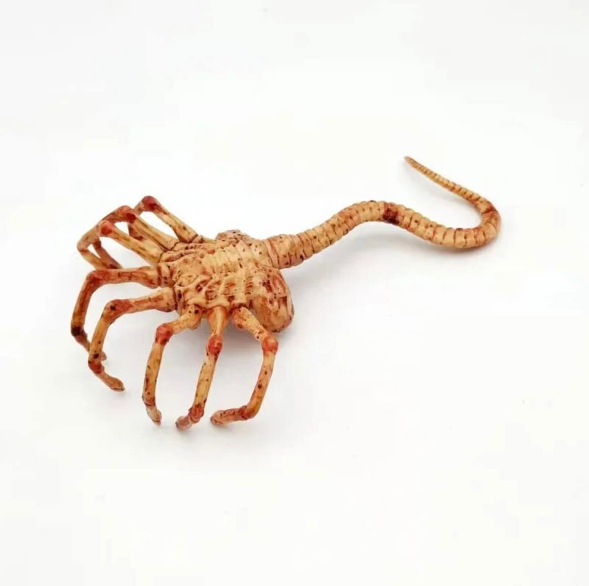 UK Alien Xenomorph XX121 Facehugger/chestburster Glow Jar - Etsy