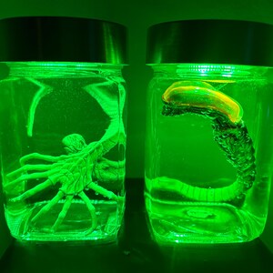 UK Alien Xenomorph XX121 Facehugger/chestburster Glow Jar - Etsy