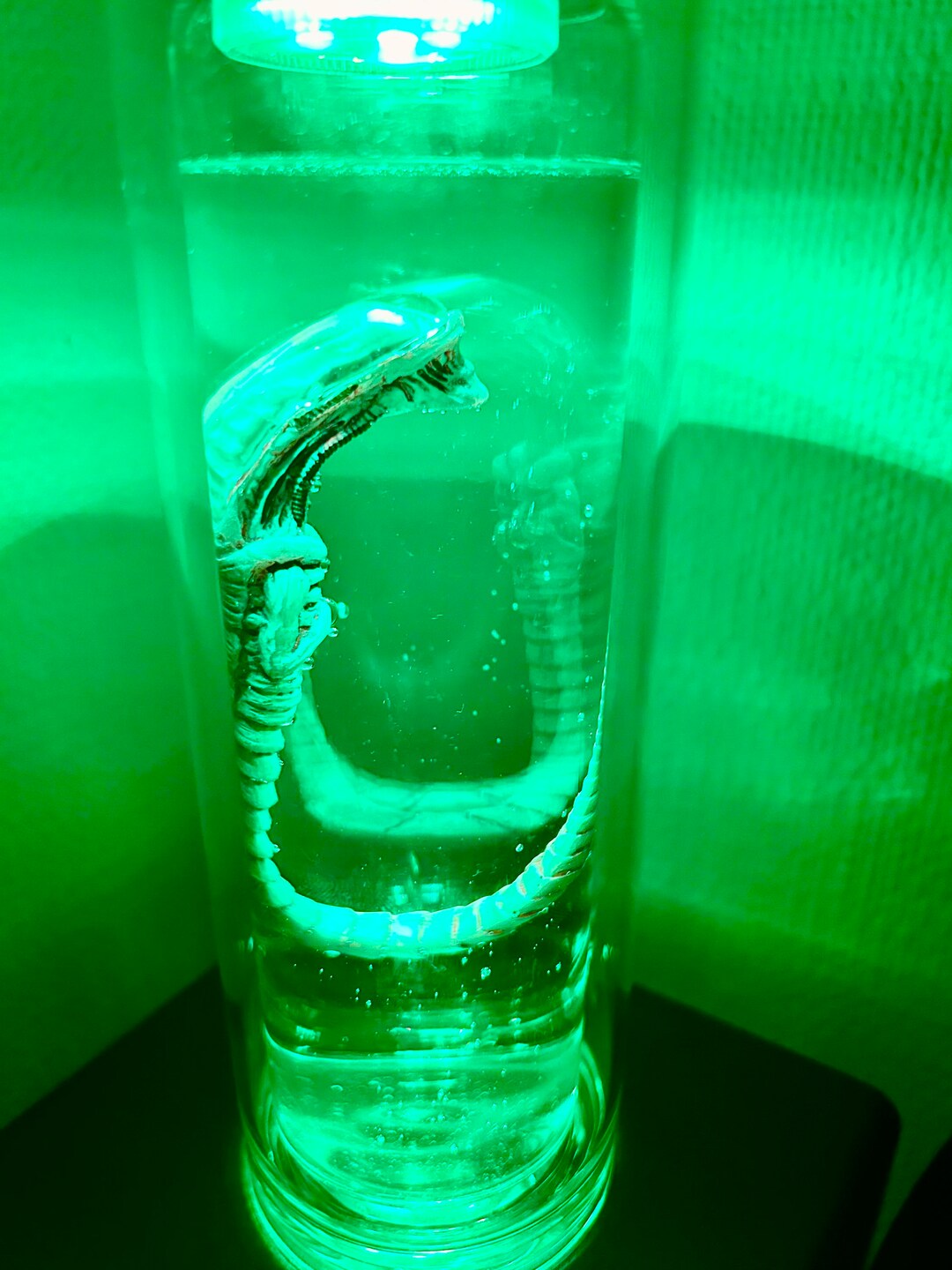 Alien Xenomorph XX121 Chestburster Specimen Glow Jar Film Replica ...