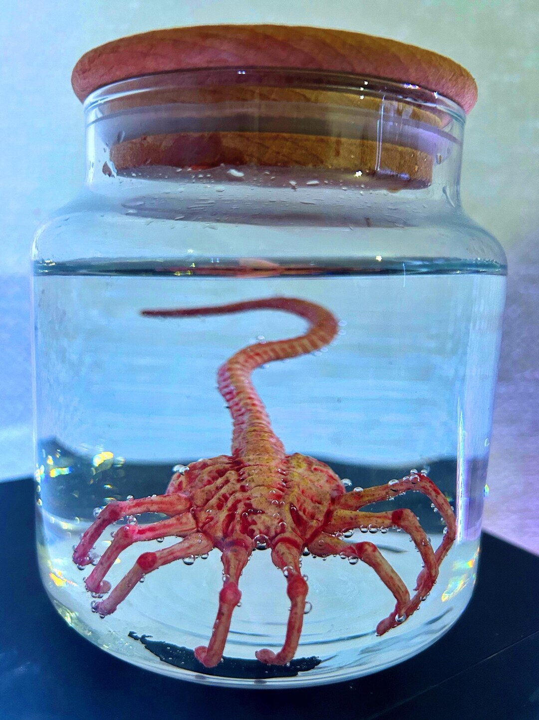 Alien Xenomorph Specimen Jar Facehugger Aliens - Etsy