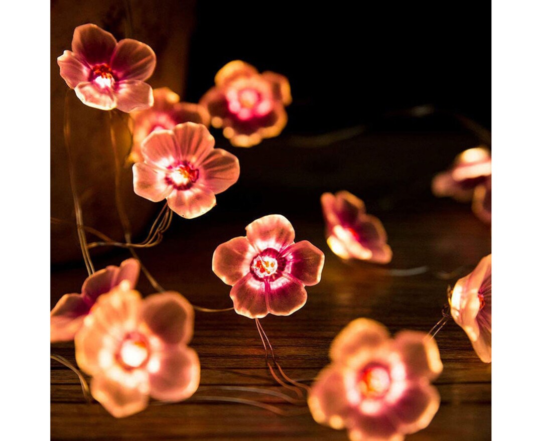 Delicate Sakura Flower String Lightsaesthetic 10/20/30 LED - Etsy