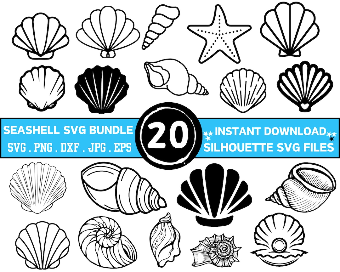 Seashell Svg, Beach Svg, Sea Shell Svg, Seashell Clipart, Sea Shells ...