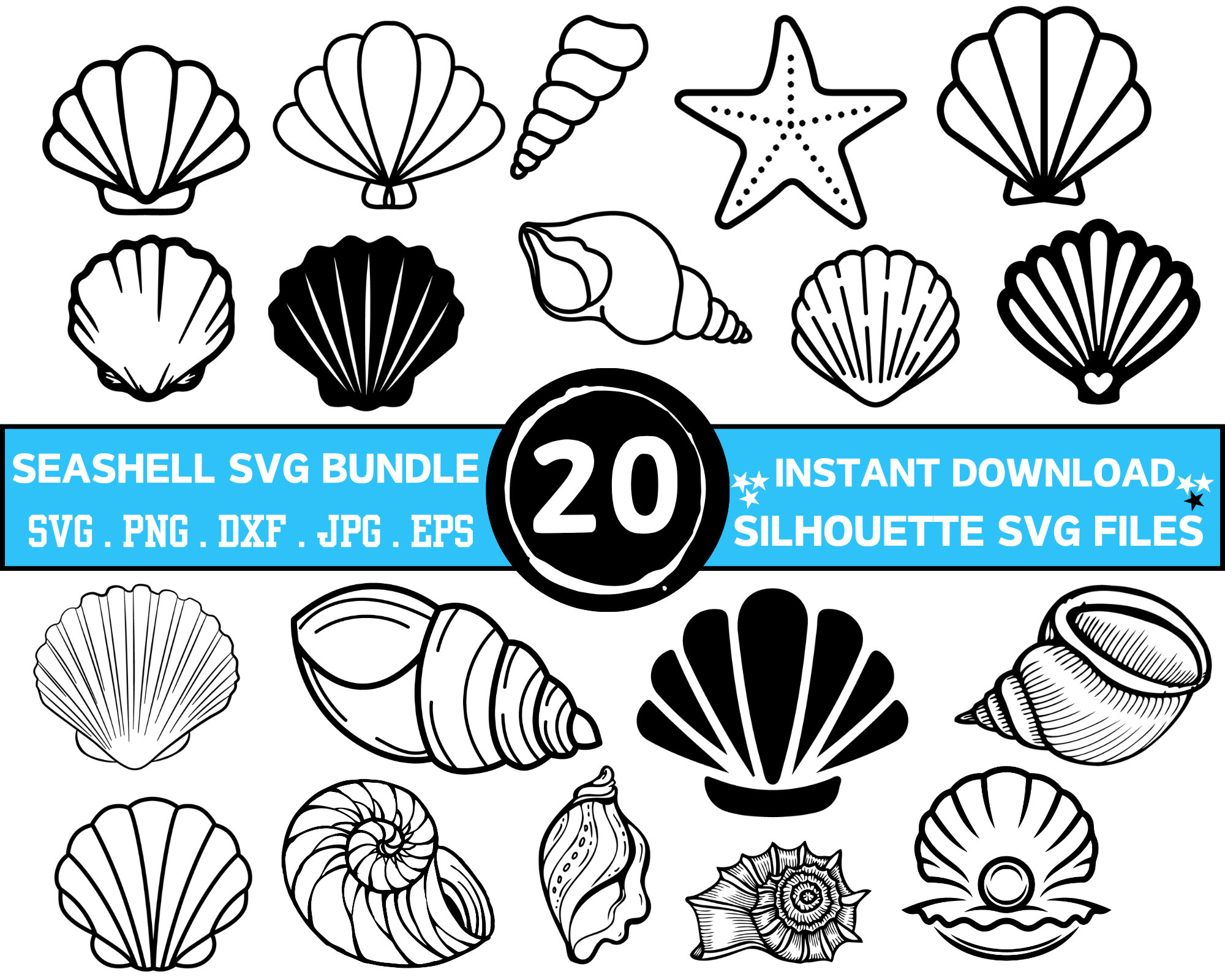 Seashell Svg, Beach Svg, Sea Shell Svg, Seashell Clipart, Sea Shells ...