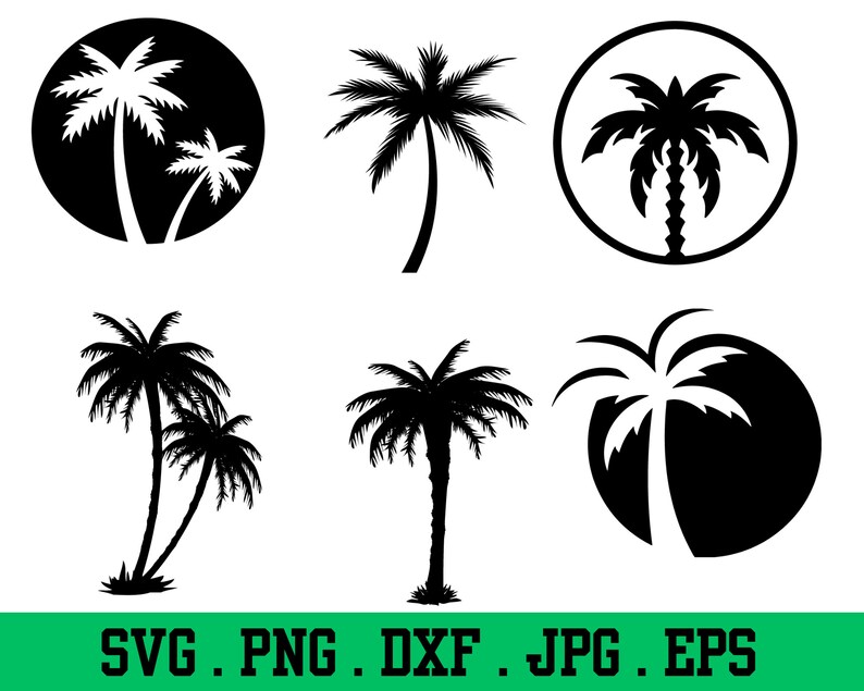 Palm Tree Svg Bundlepalm Tree Pngpalm Tree Clipartpalm - Etsy