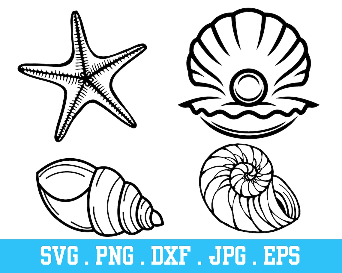 Seashell Svg, Beach Svg, Sea Shell Svg, Seashell Clipart, Sea Shells ...