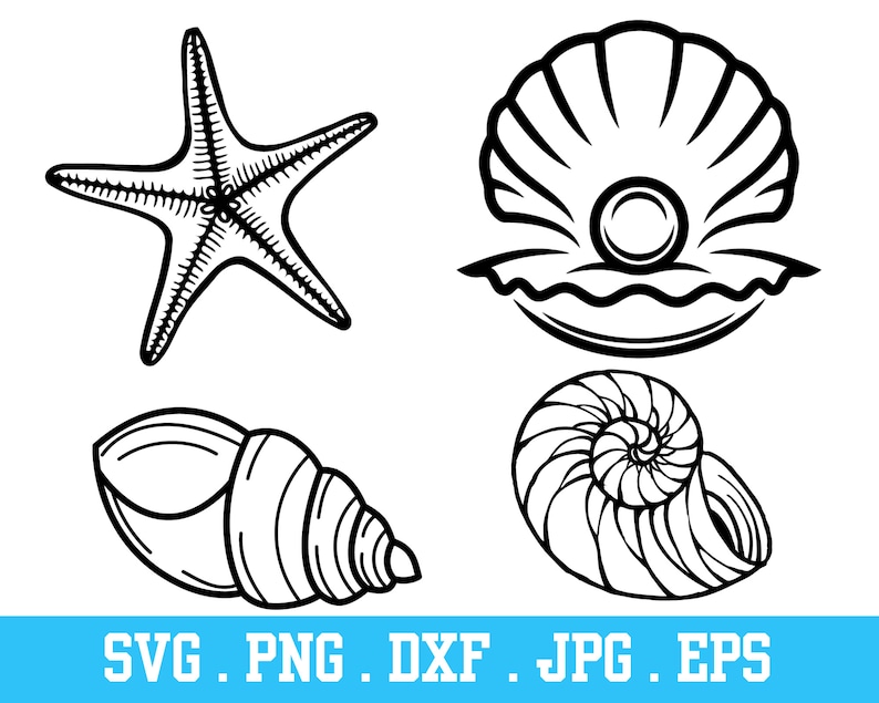 Seashell Svg, Beach Svg, Sea Shell Svg, Seashell Clipart, Sea Shells ...
