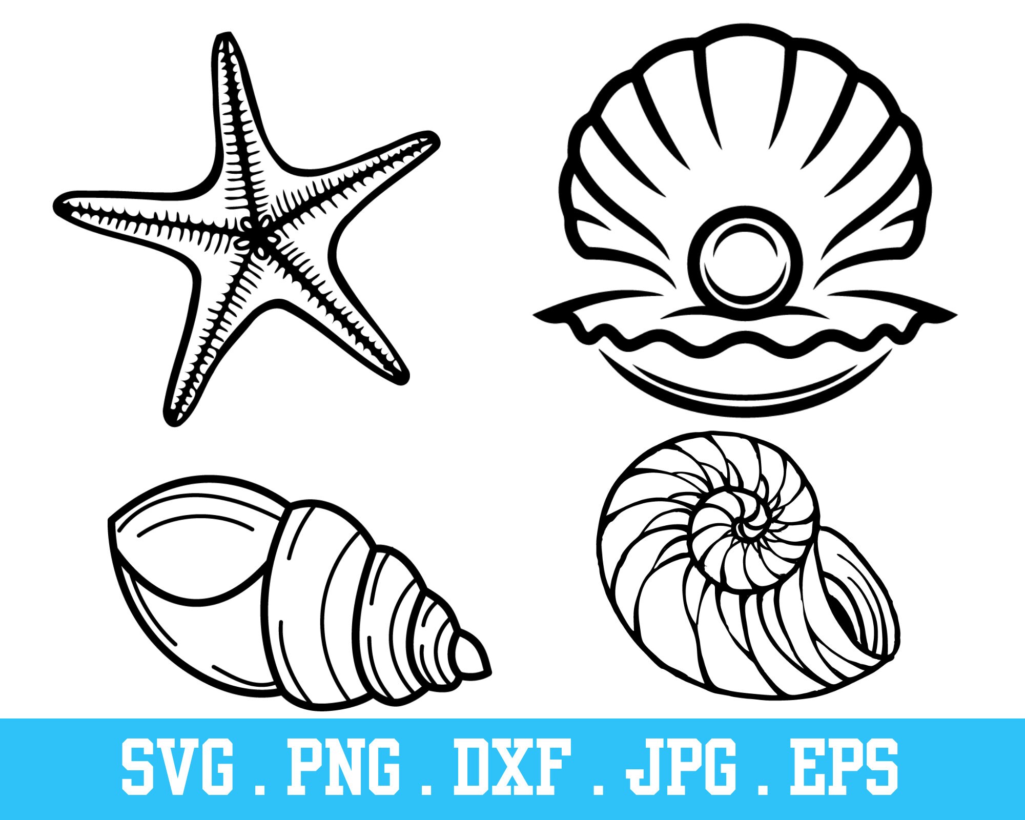 Seashell Svg, Beach Svg, Sea Shell Svg, Seashell Clipart, Sea Shells ...
